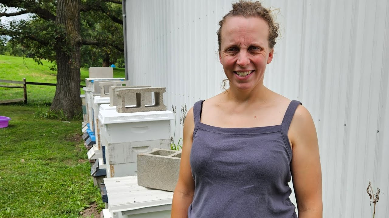 Homestead beekeeping: Hopelessly Queenless! - YouTube