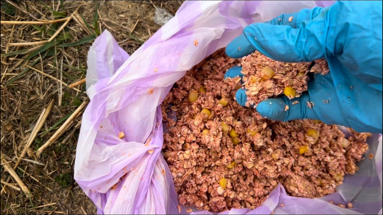 12/13/24 Showing carp 🎣methods rig teacher way😂👍 - YouTube