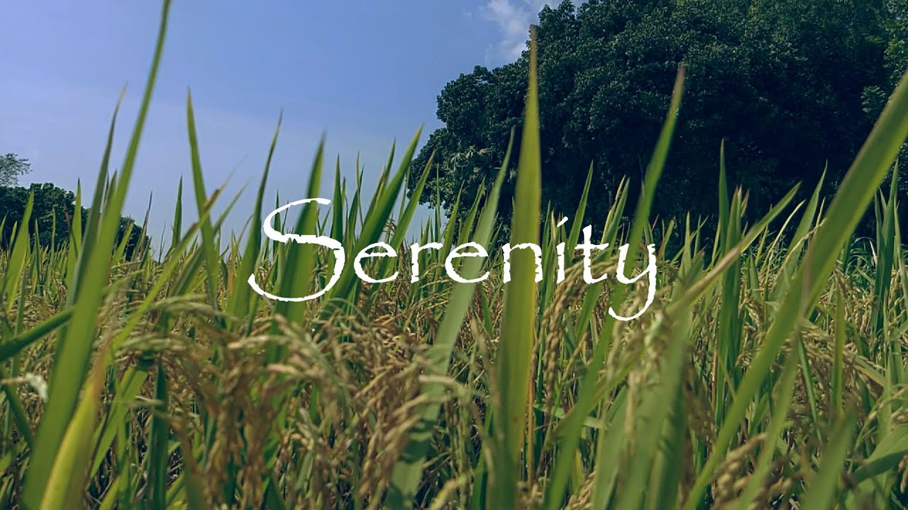 Serenity: A Peaceful Cinematic Video - YouTube