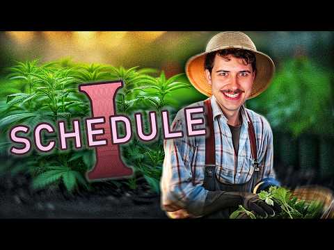 I cant stop playing schedule 1