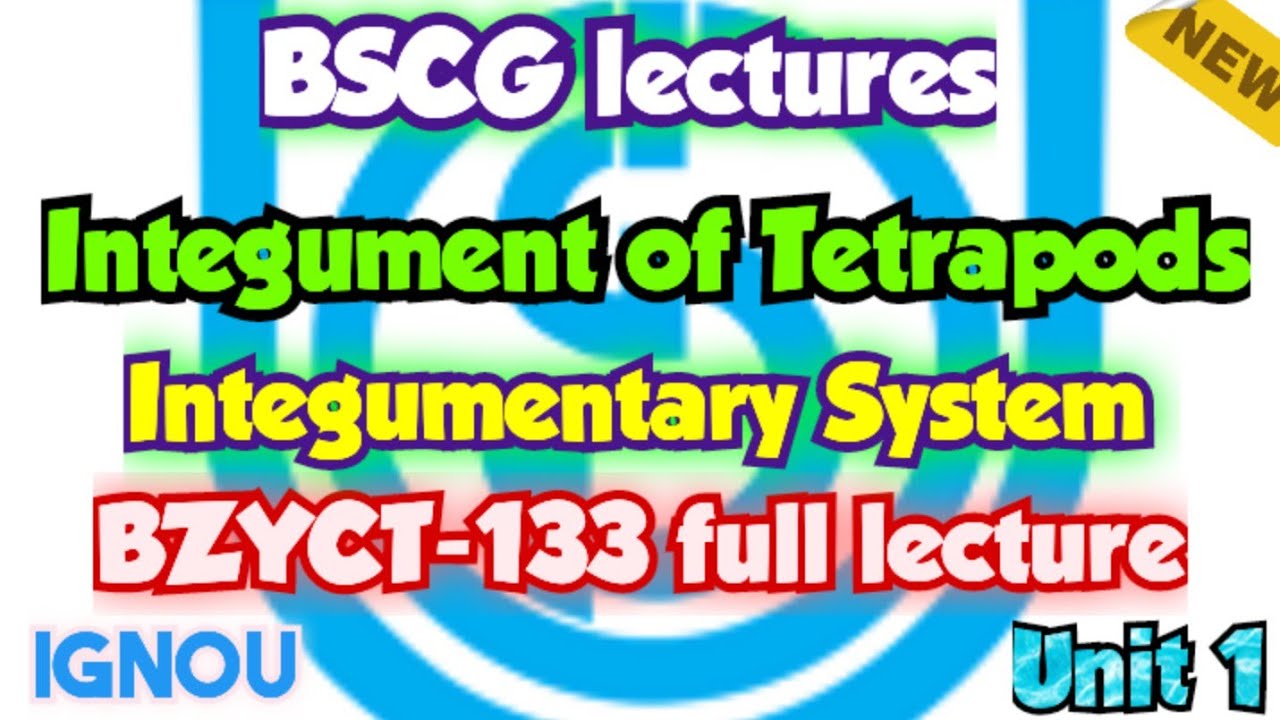 Integument of Tetrapods | Unit -1| Zoology |Animal Kingdom| BZYCT-133 ...