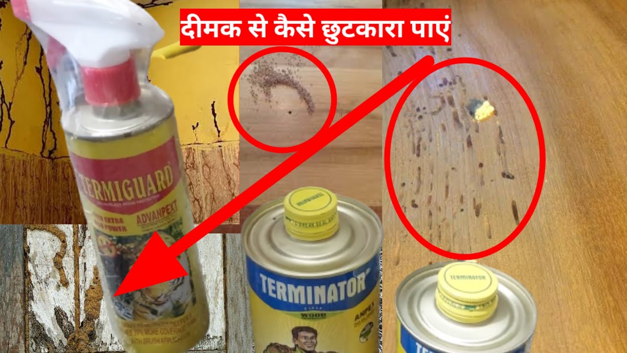 lakadi Mein dimak lag Gaye | घर में दीमक लग गए । TERMIGUARD ।TERMINATOR ...
