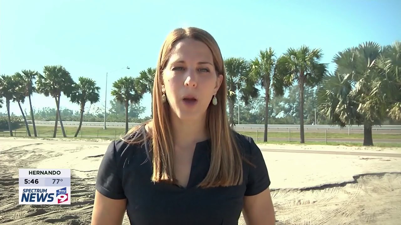 Skyway 10k on Bay News 9 - YouTube