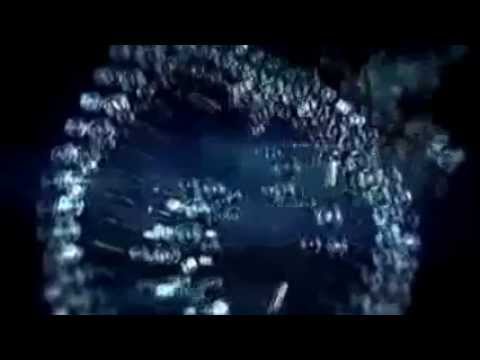 Le miracle de la vie: Développement foetal semaine après semaine !