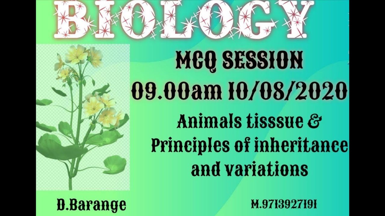 Mcq Principles Of Inheritance Part 1 Ncert 12 Biology By D Barange Youtube