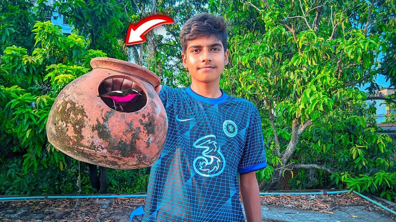 How To Make A birds home | birds home made - YouTube