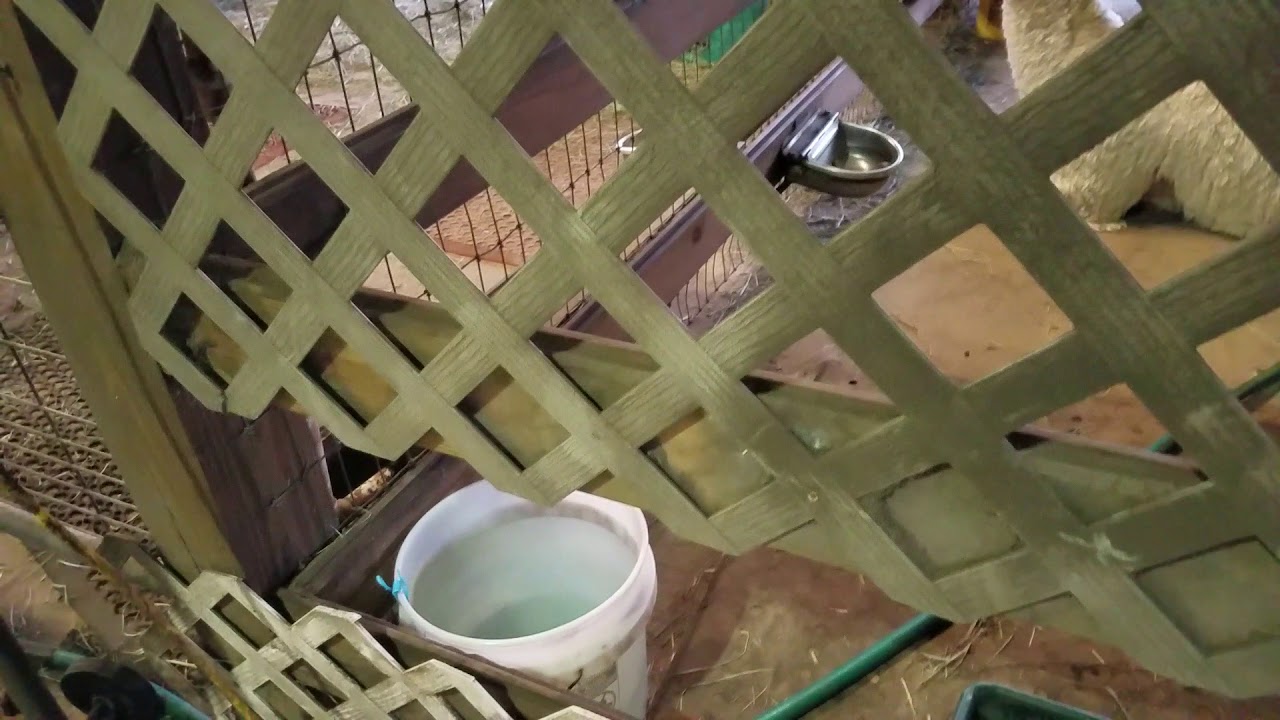 Alpaca Barn Layout - YouTube