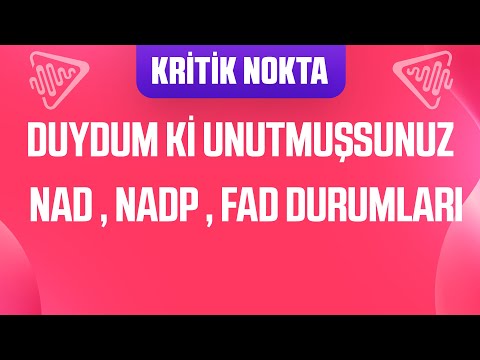 DUYDUM Kİ UNUTMUŞSUNUZ 😨 NAD , FAD , NADP NEREDE İNDİRGENİR VE YÜKSELTGENİR ?