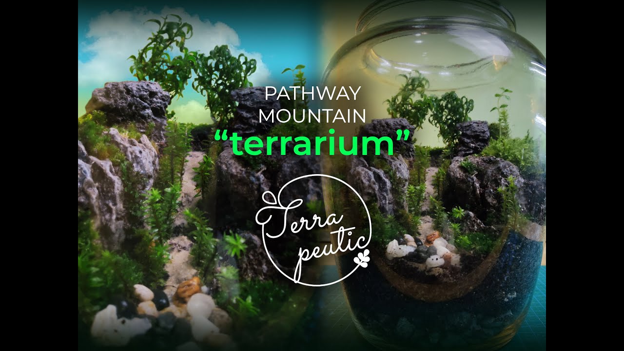 Pathway to the Mountain - Terrarium - YouTube