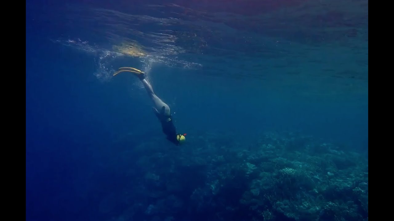 Apnoetauchen - Die Faszination Freitauchen - YouTube