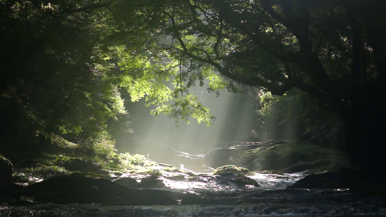 Waterfall Serenity - YouTube