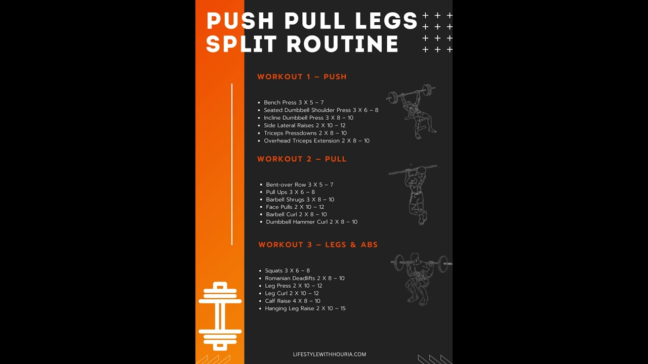 The PPL - Push Pull Legs - Routine for Muscle Gains - YouTube