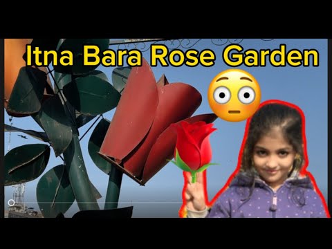 Lahore ka Sab Sey Bara Rose Garden | More than 100 types of roses at ...