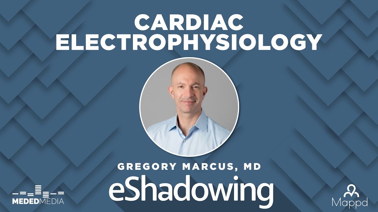 Solving the Puzzles of the Heart With Dr. Gregory Marcus - YouTube