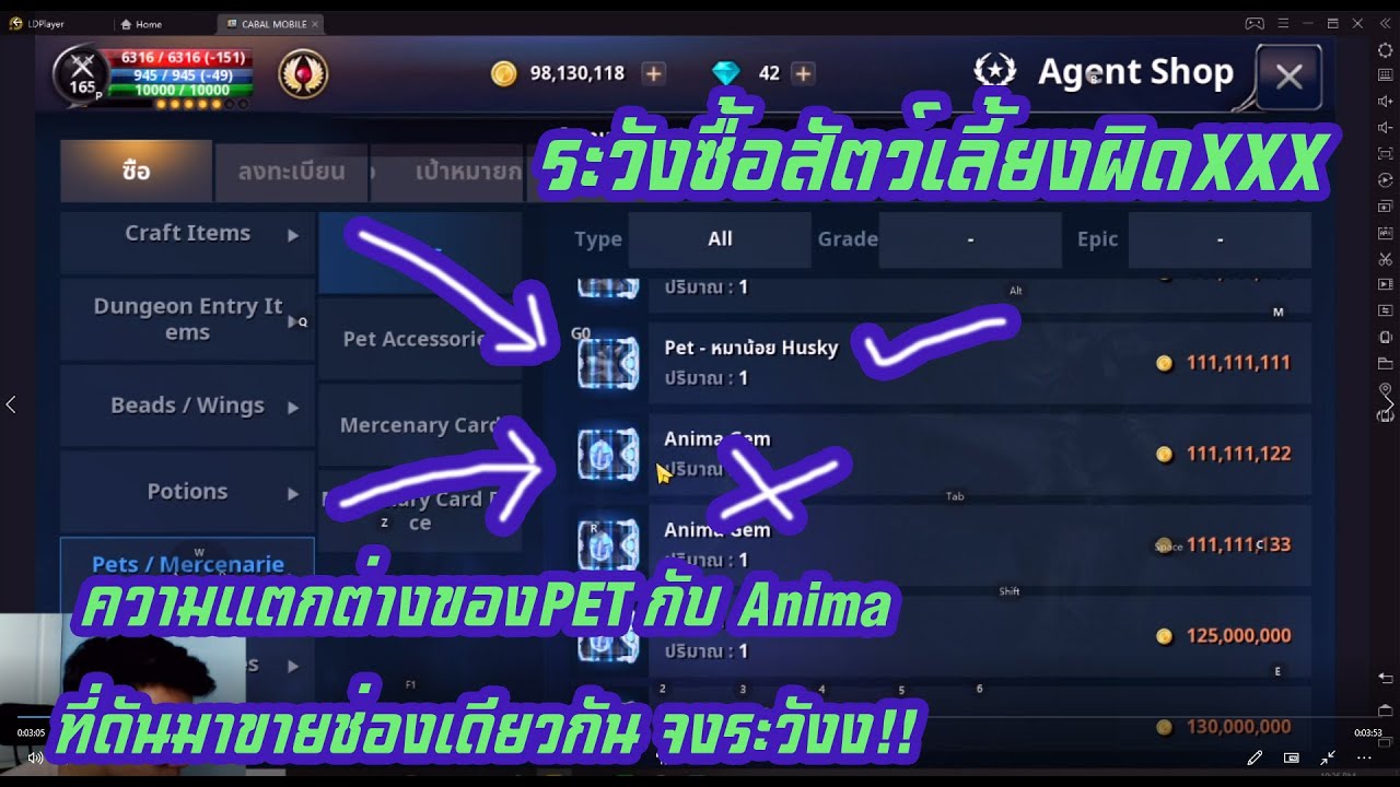 Cabal M Infinite Combo : ซื้อสัตว์เลี้ยง ระวังซื้อผิด!! ความแตกต่าง PET ...