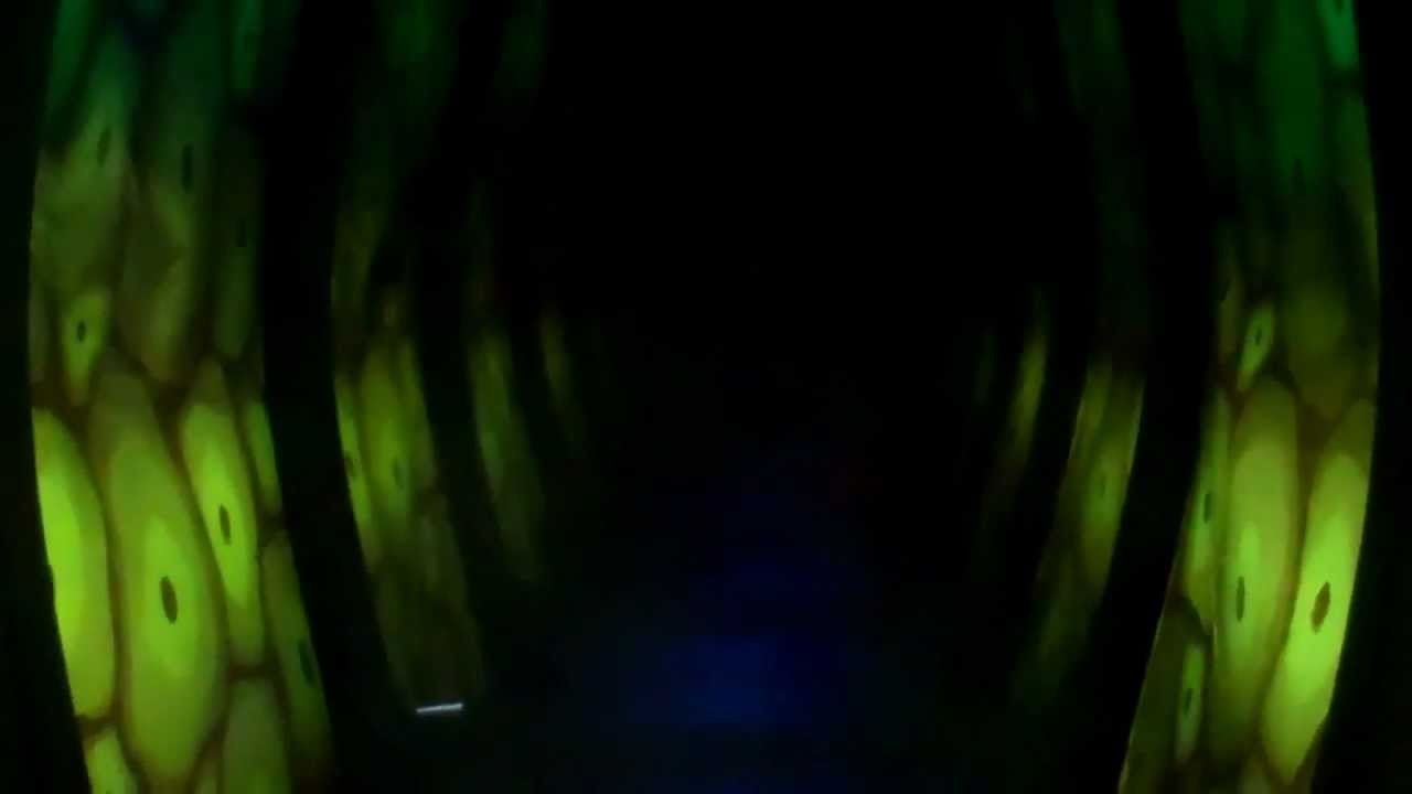 Ben 10 Ultimate Alien ~ Revolution Ultimatrix ~ Review - YouTube