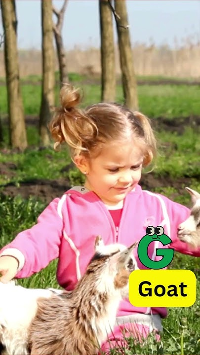 Domestic Animals for kids / Alphabet Animal A-Z / a-z pet animals ...