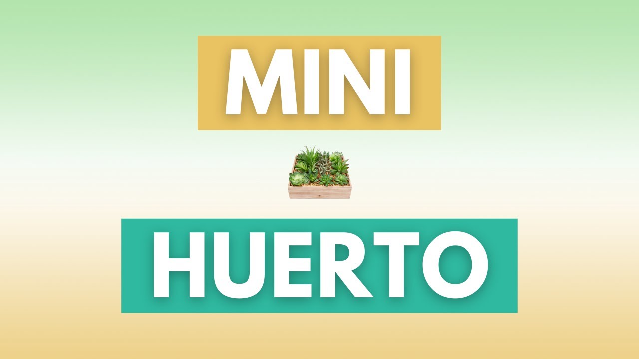 Mini huerto y cómo asociarlo correctamente - YouTube