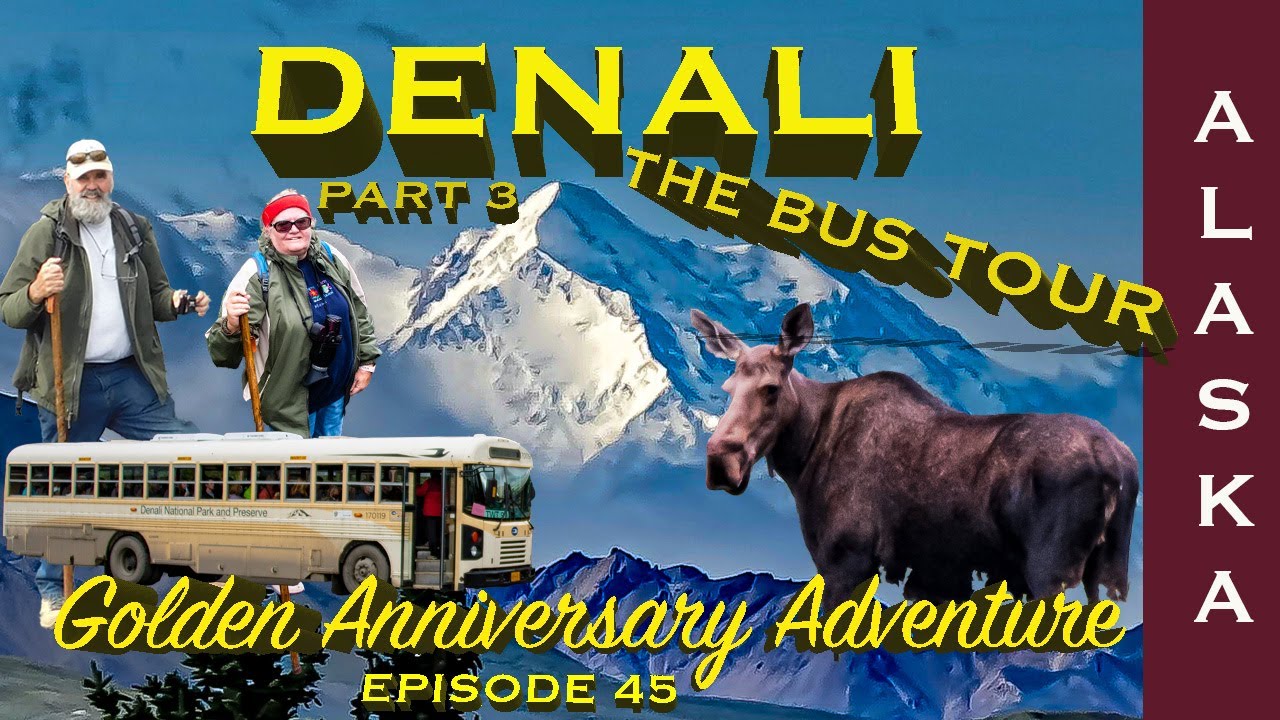 Ep 45 Exploring the Majestic Denali: Tundra or Transit Tour Bus ...