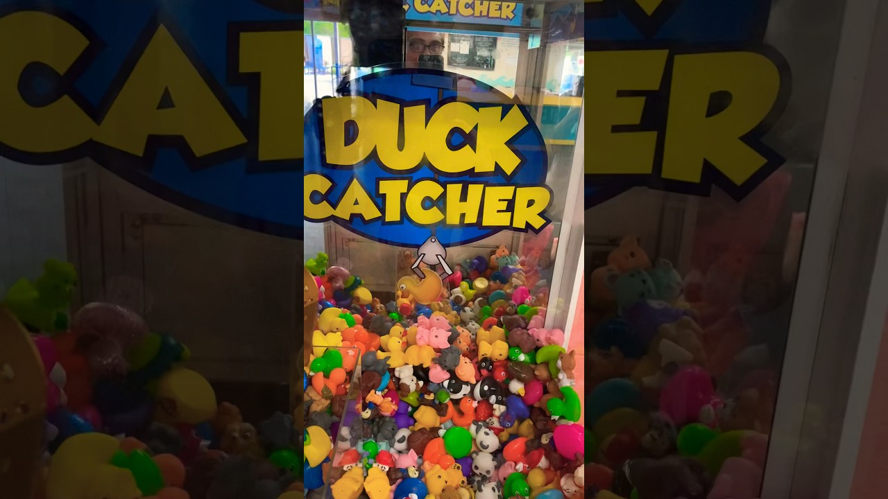 It was A Good Catch!!Duck Catcher games #arkadeplays #games #shorts 🦆🐥 ...