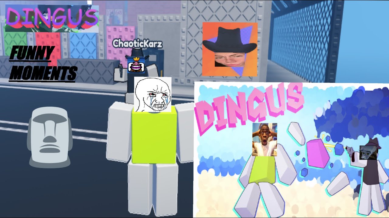 DINGUS funny moments🫡 - YouTube