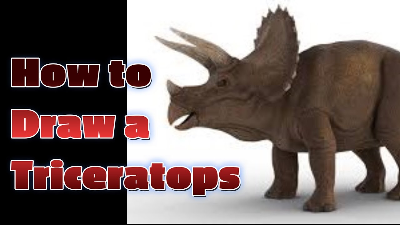 Learn to Draw a Triceratops Dinosaur - YouTube
