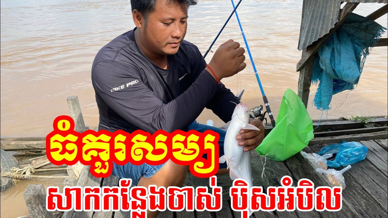 សាកកន្លែងចាស់ប៉ិសអំបិល Catching big fish at river #34 - YouTube