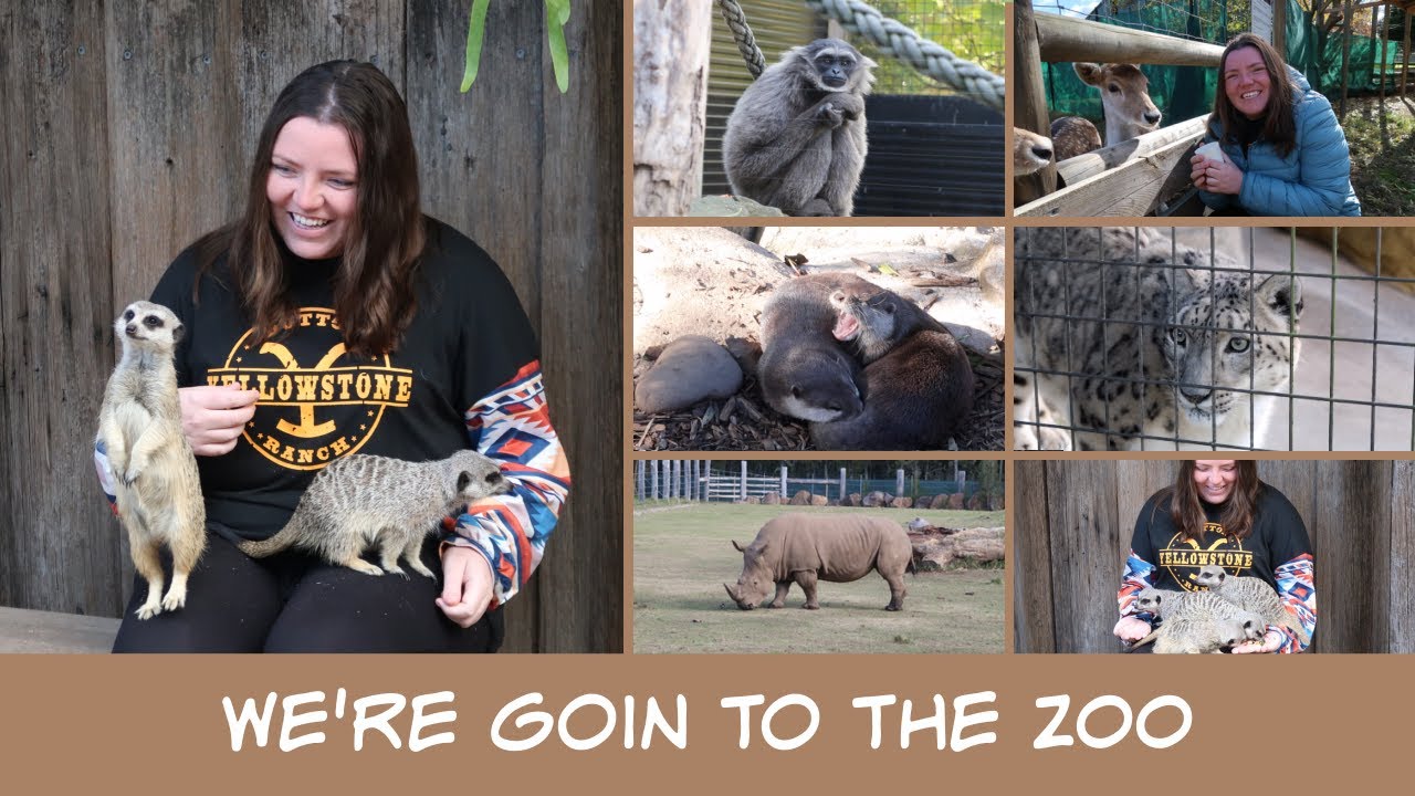 We're goin to the zoo! - YouTube