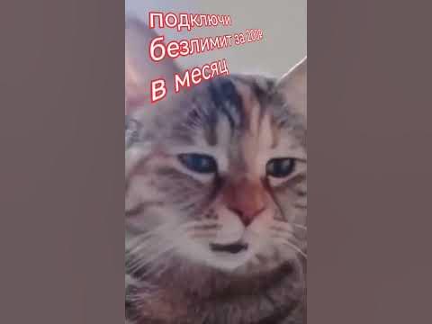 безлимит на телефон #funny - YouTube