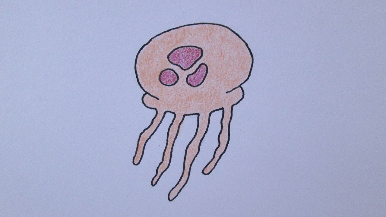 Como Desenhar Uma Agua Viva Do Bob Esponja Passo A Passo 17+ Spongebob