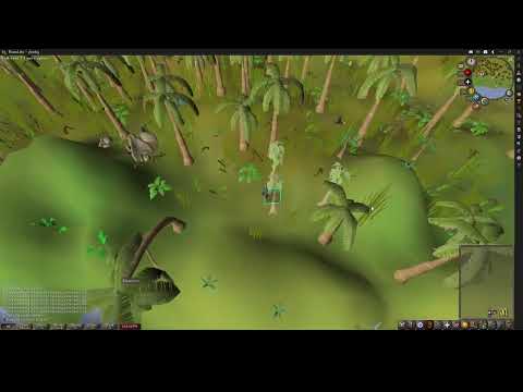 OSRS - Ironman Best Teak Planks Method (2024)