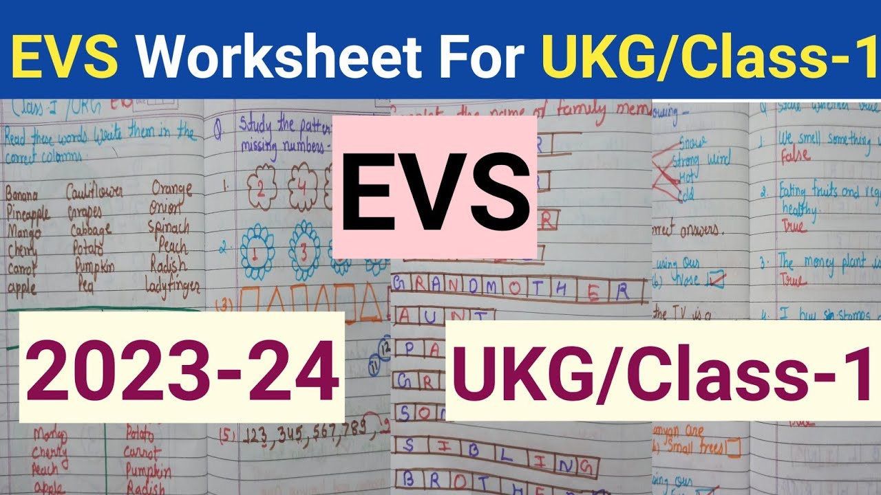 EVS Worksheet For UKG and Class-1 || EVS Grade-1 || - YouTube