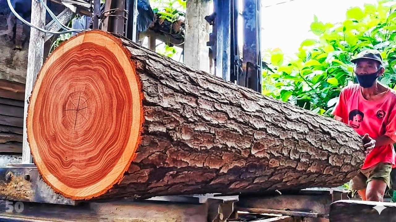 Incredible rare find!! Beautifully textured old wood being sawed. - YouTube