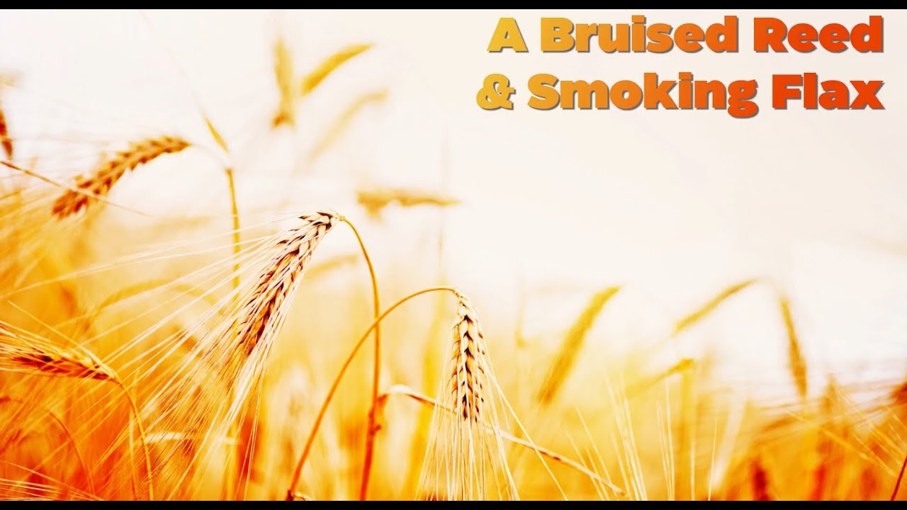 Bruised Reed and Smoking Flax - YouTube
