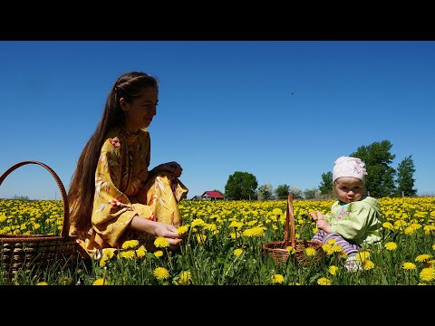 Picked up a whole basket of dandelions and prepared jam with honey. Asmr Triggers