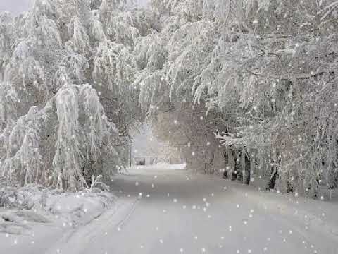 Mümin SARIKAYA  - al başımdan bu dertleri