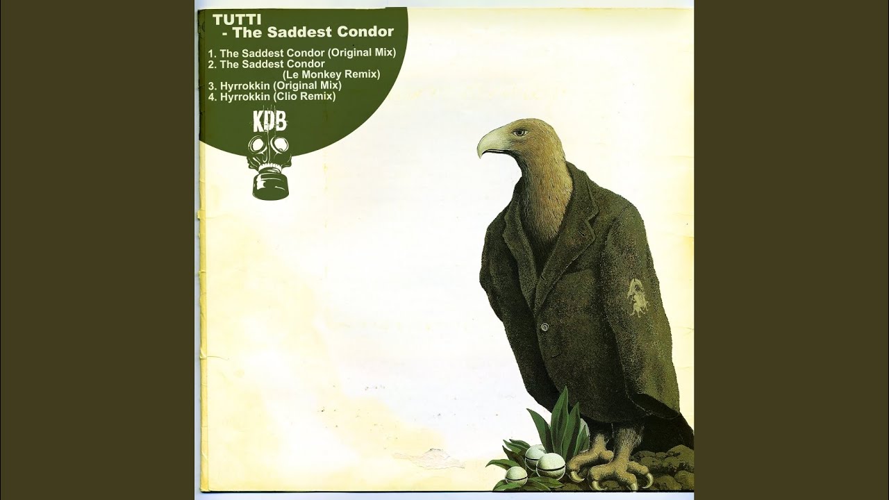 The Saddest Condor (Original Mix) - YouTube