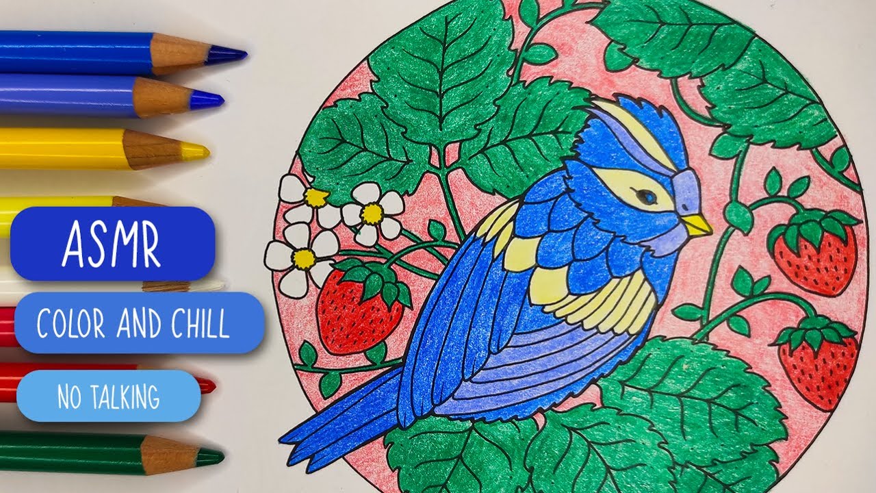 🎧 Calming ASMR Coloring 🐦🍓🍃 | No Talking | Color And Chill 🎨 - YouTube