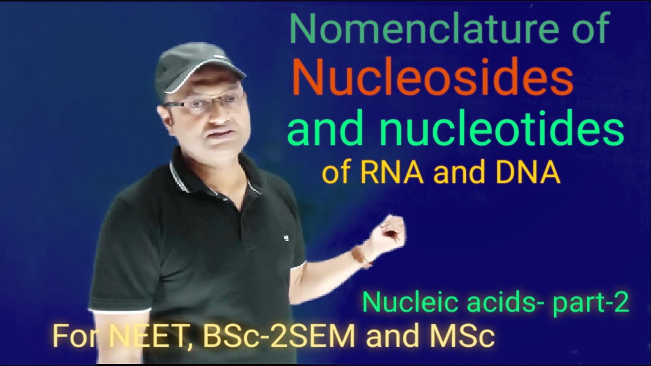 Nomenclature of nucleosides and nucleotides of RNA and DNA - YouTube