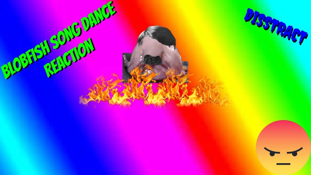 REACTING TO BLOBFISH DANCE SONG / DISTRACT??? - YouTube