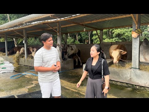 MANDUT NINUNINU @Wanamusikindo BELI SAPI JUMBO DI AKBAR FARM❓