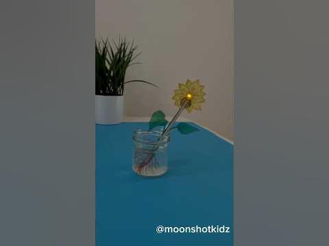 DIY interactive “Blossoming flower”. Easy water electric circuit ...