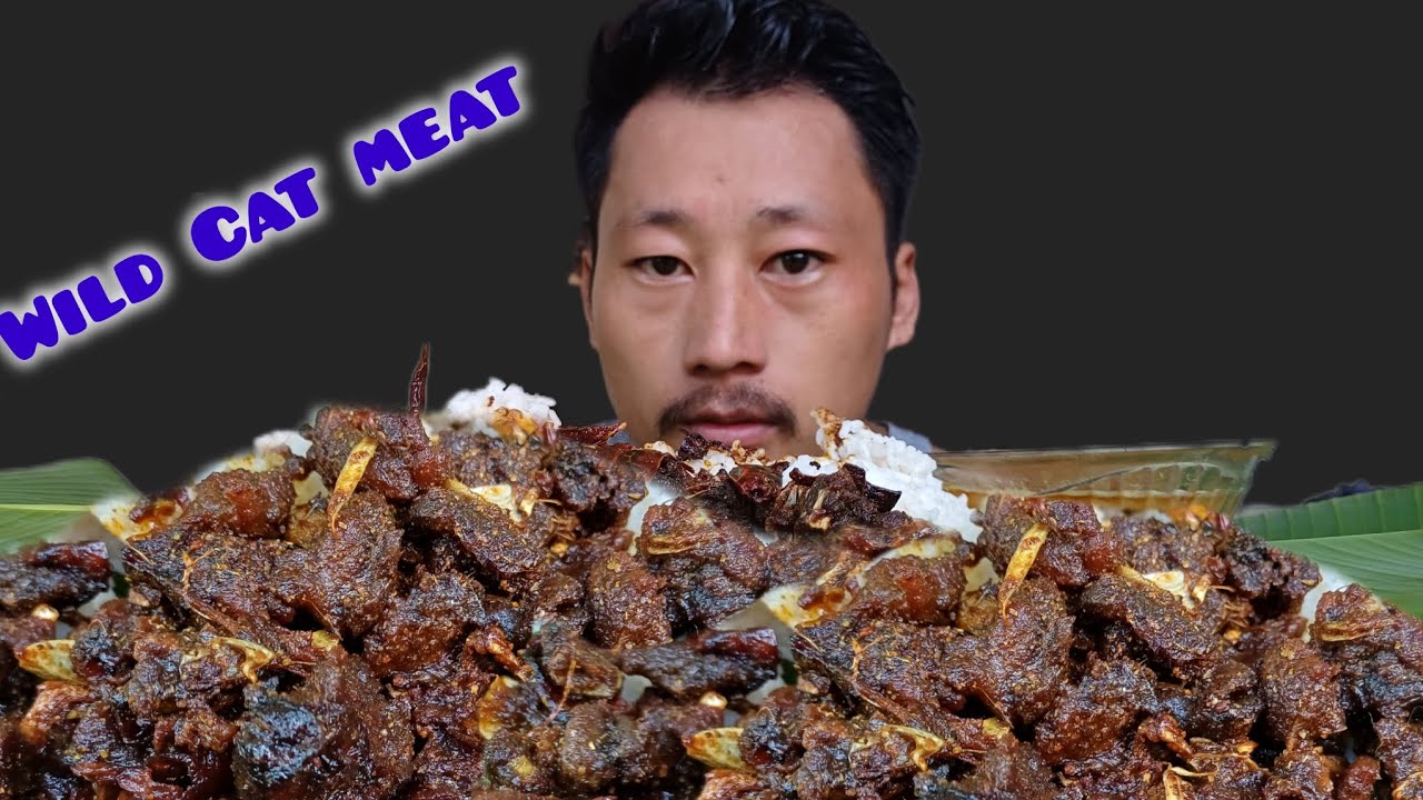 Enjoying my dinner Wild Cat meat with Dal Ekdum Suka dry fried ...