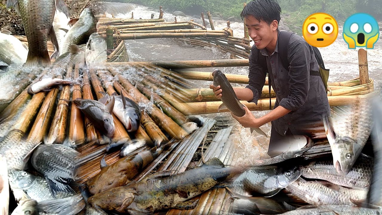 NYISHI TRIBE TRADITIONAL CULTURE FISHING STYLE OF SEPE (trap)| IN PAPUM ...