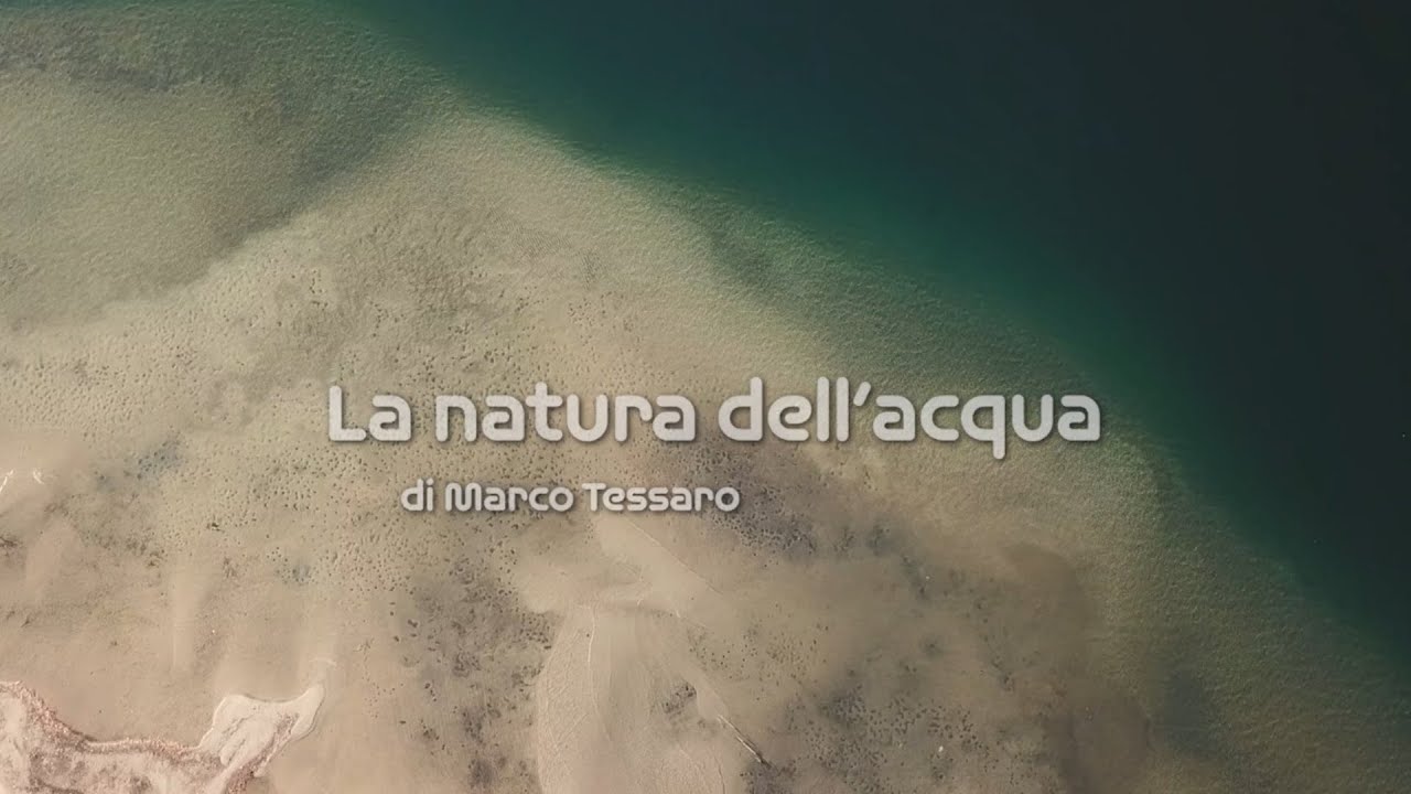 Documentario "La natura dell'acqua" di Marco Tessaro - Lingua italiana ...