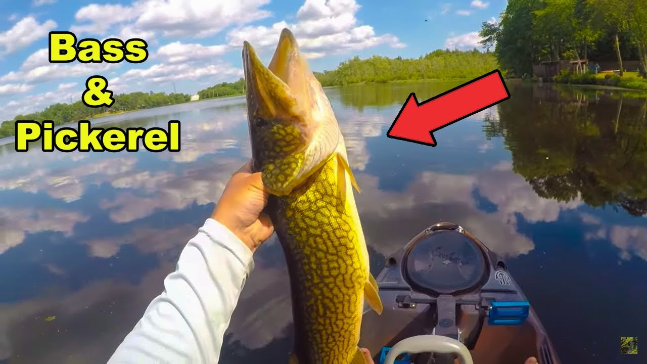 Bass Fishing New Jersey Lake || It's Loaded! - YouTube