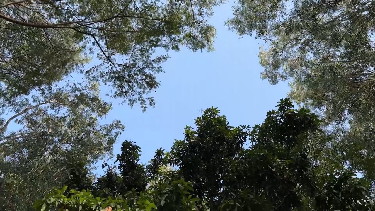 Picnic spot near pune || ghateshwar temple pune - YouTube