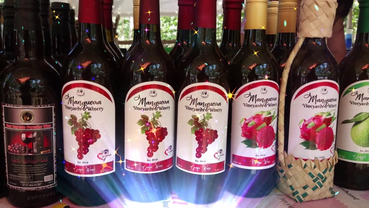 La Union Grapes Farm Escapade - YouTube