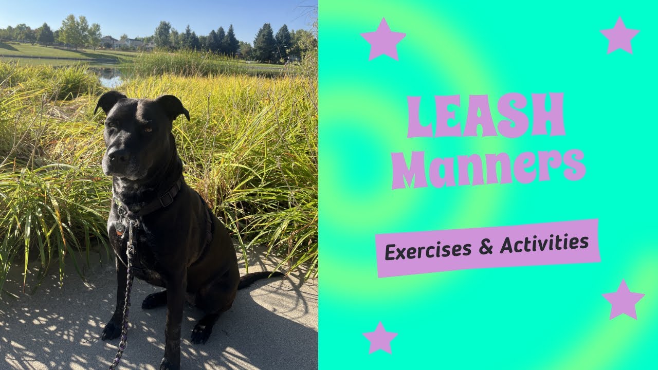 LEASH MANNERS: Exercises & Activities for optimal engagement and ...