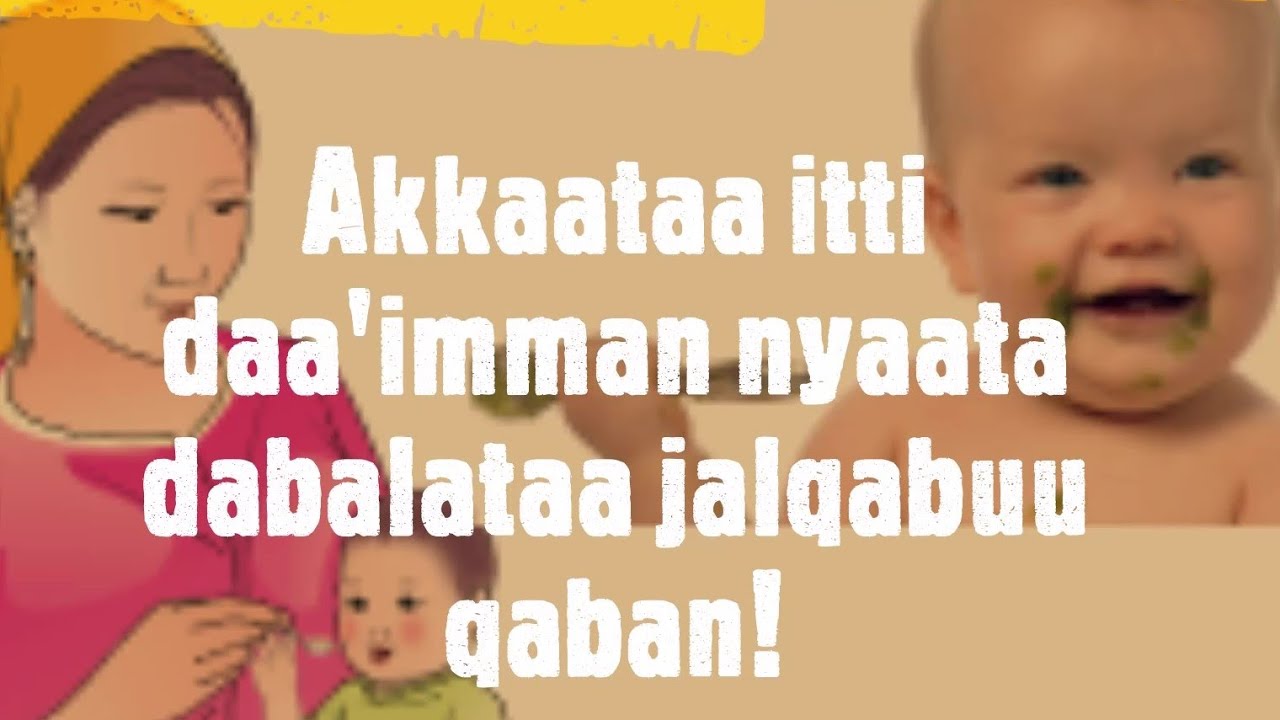 Akkaata daa'imman nyaata dabalataa itti eegalaniiifi nyaata daa'immanii ...